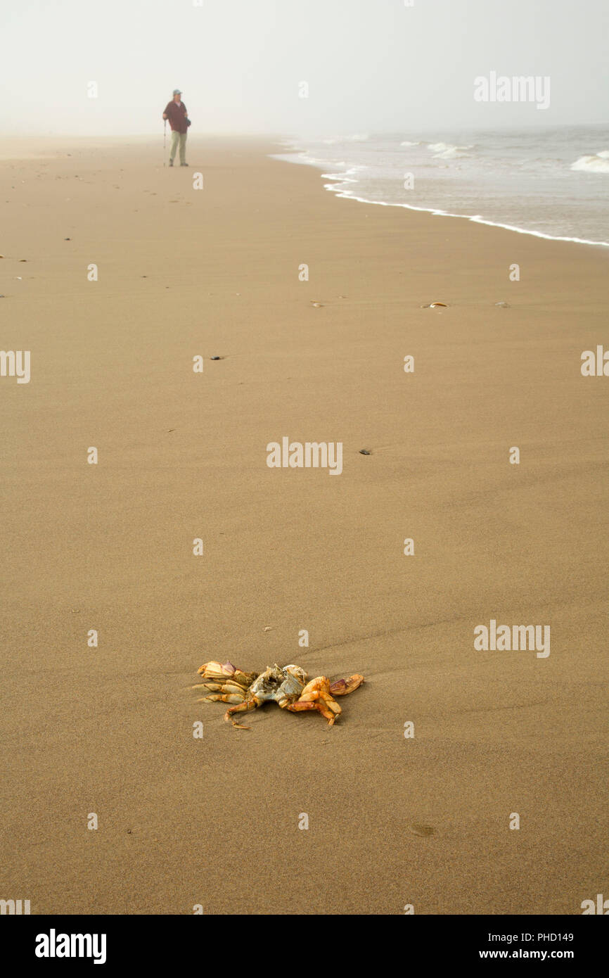Baker beach and oregon hi-res stock photography and images - Alamy
