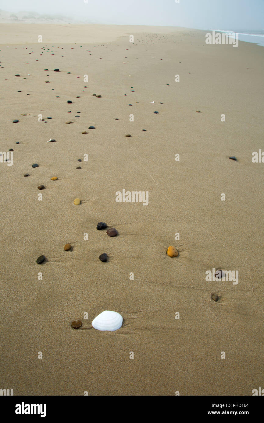 Baker Beach, Siuslaw National Forest, Oregon Stock Photo - Alamy