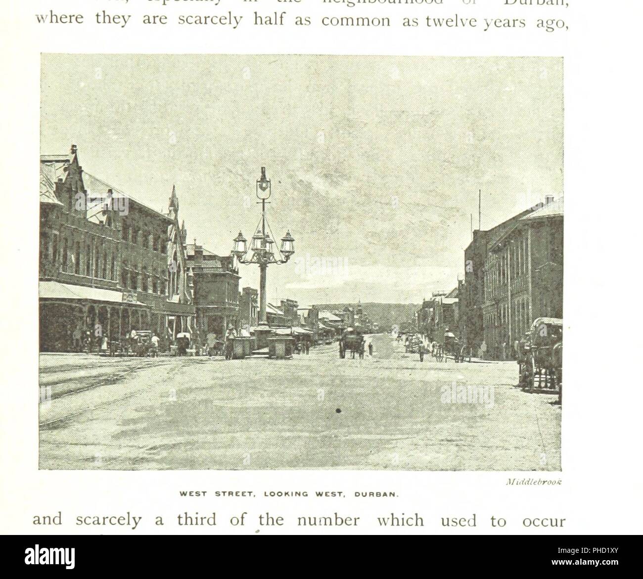 Image from page 121 of 'The Colony of Natal. An official illustrated ...