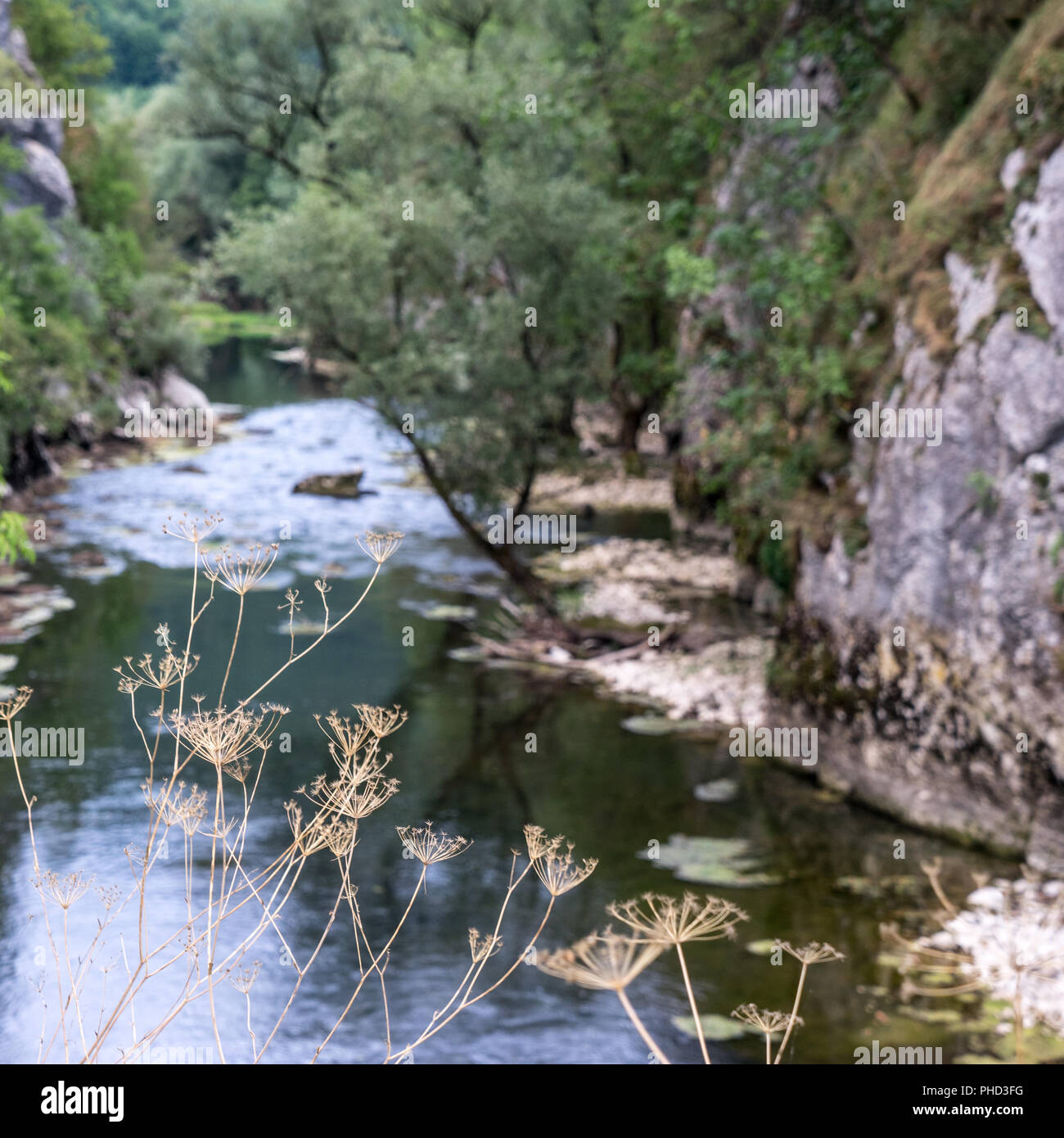 Gorge of the River Sana, Bosnia Stock Photo - Alamy