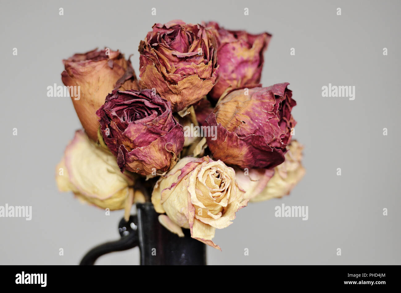 Dried flowers in vase hi-res stock photography and images - Alamy