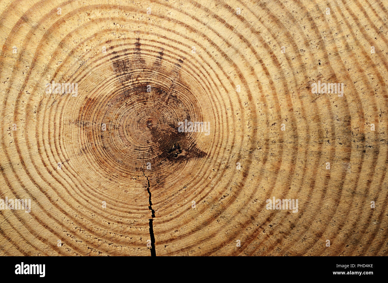 wooden circle with a split cut Stock Photo - Alamy