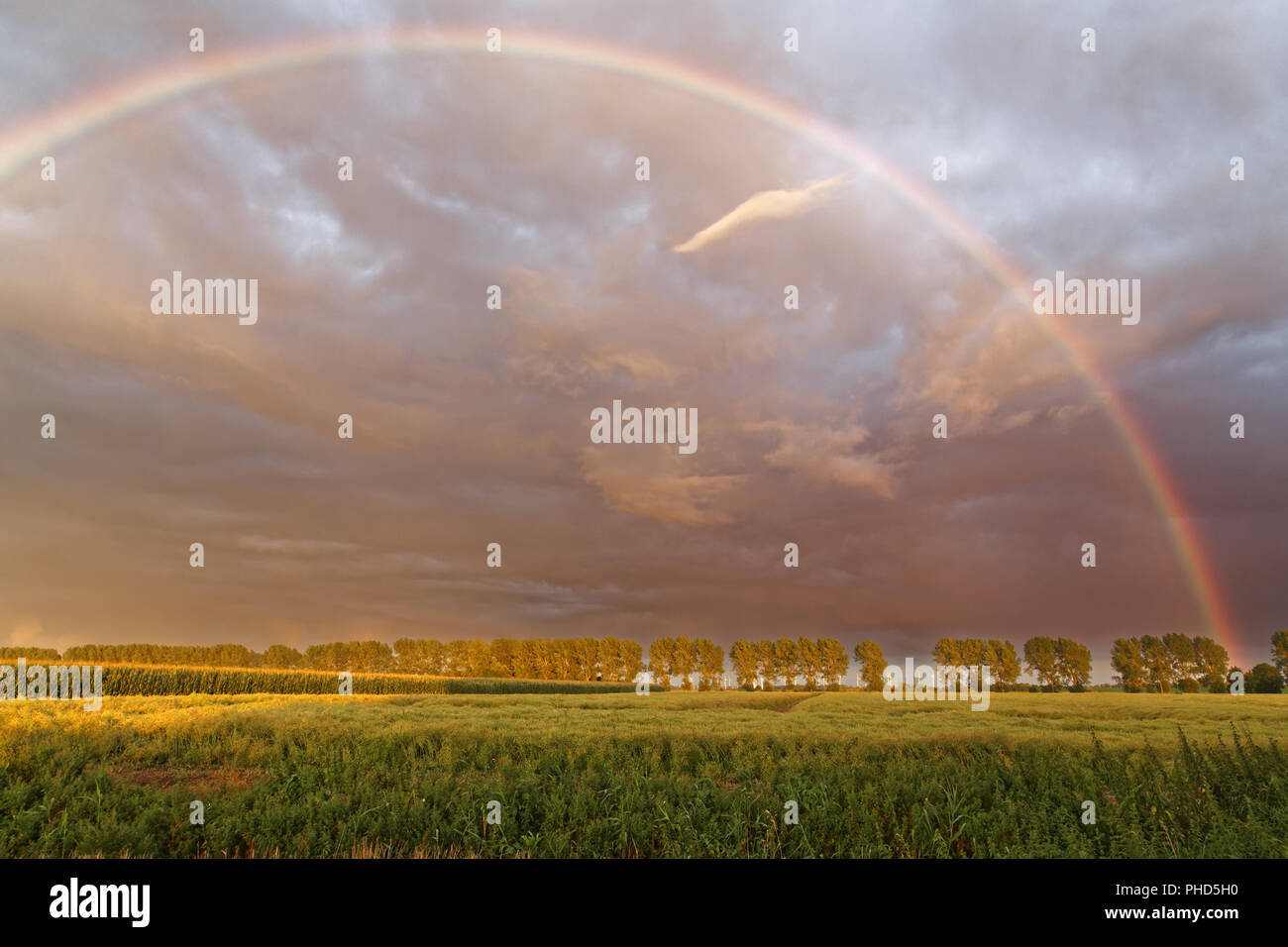 Rainbow in the evening sky Stock Photo - Alamy