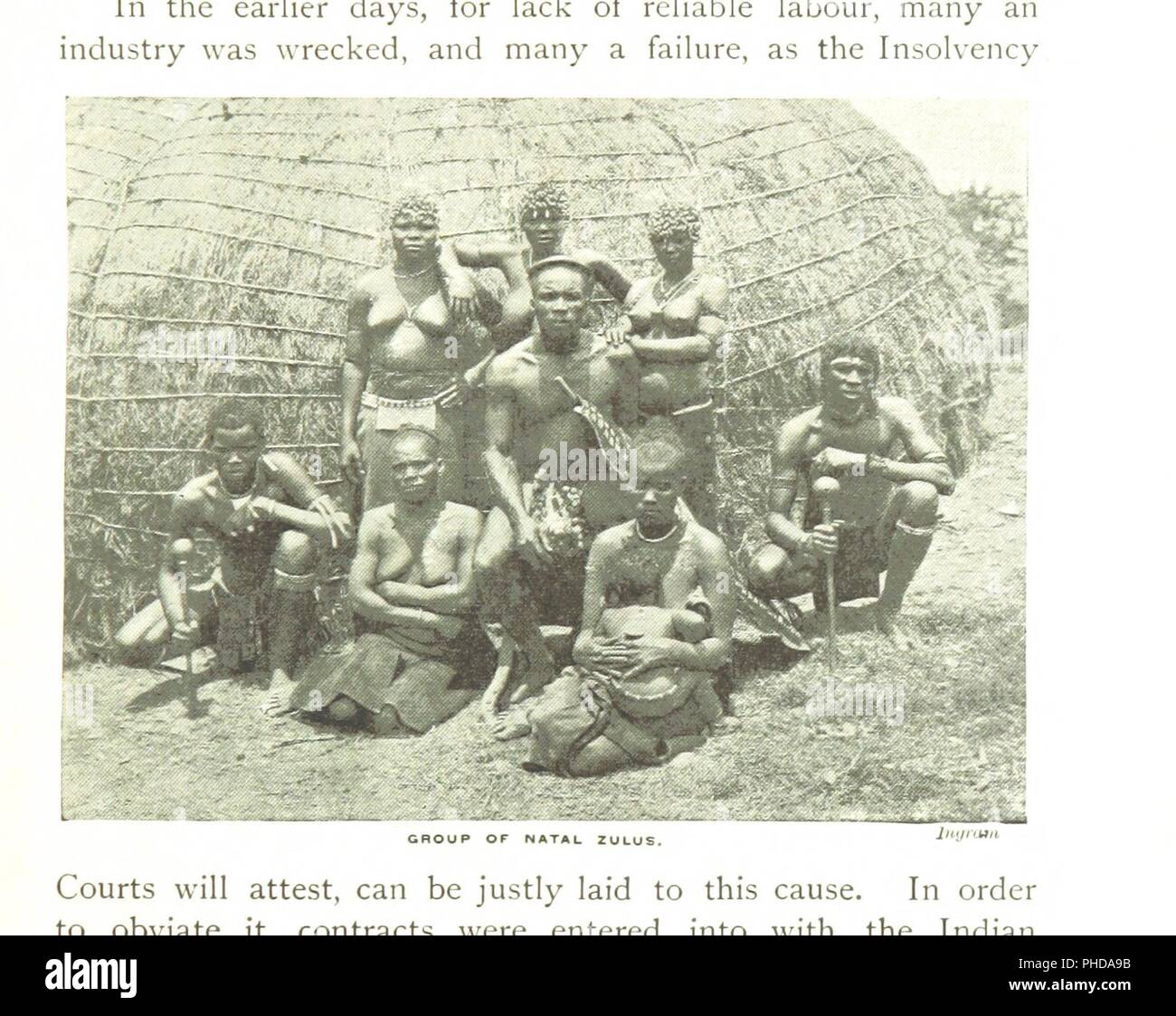 Image from page 35 of 'The Colony of Natal. An official illustrated ...