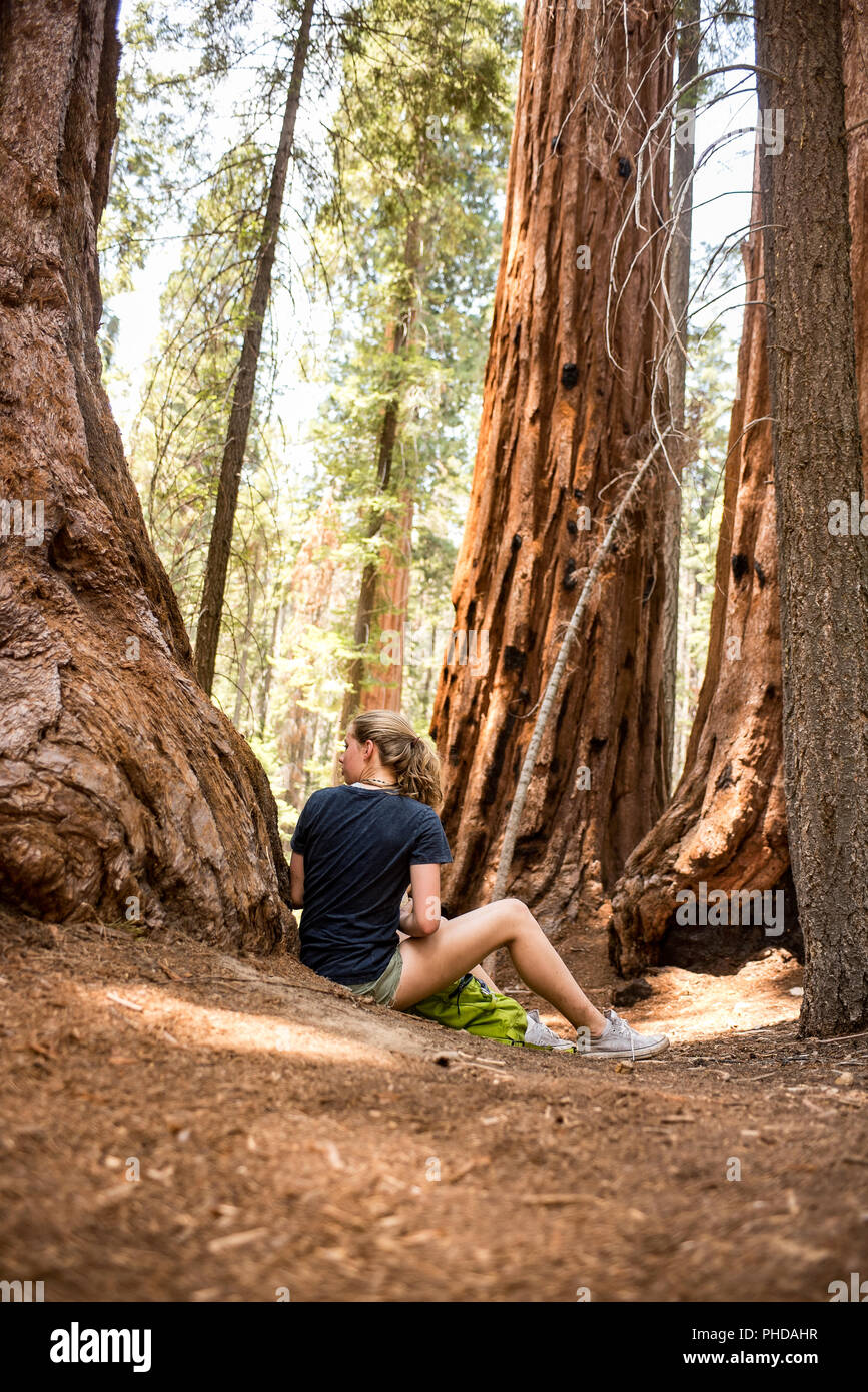 Images of Sequoias and visitors to the Trail of 100 Giants in the Grand ...