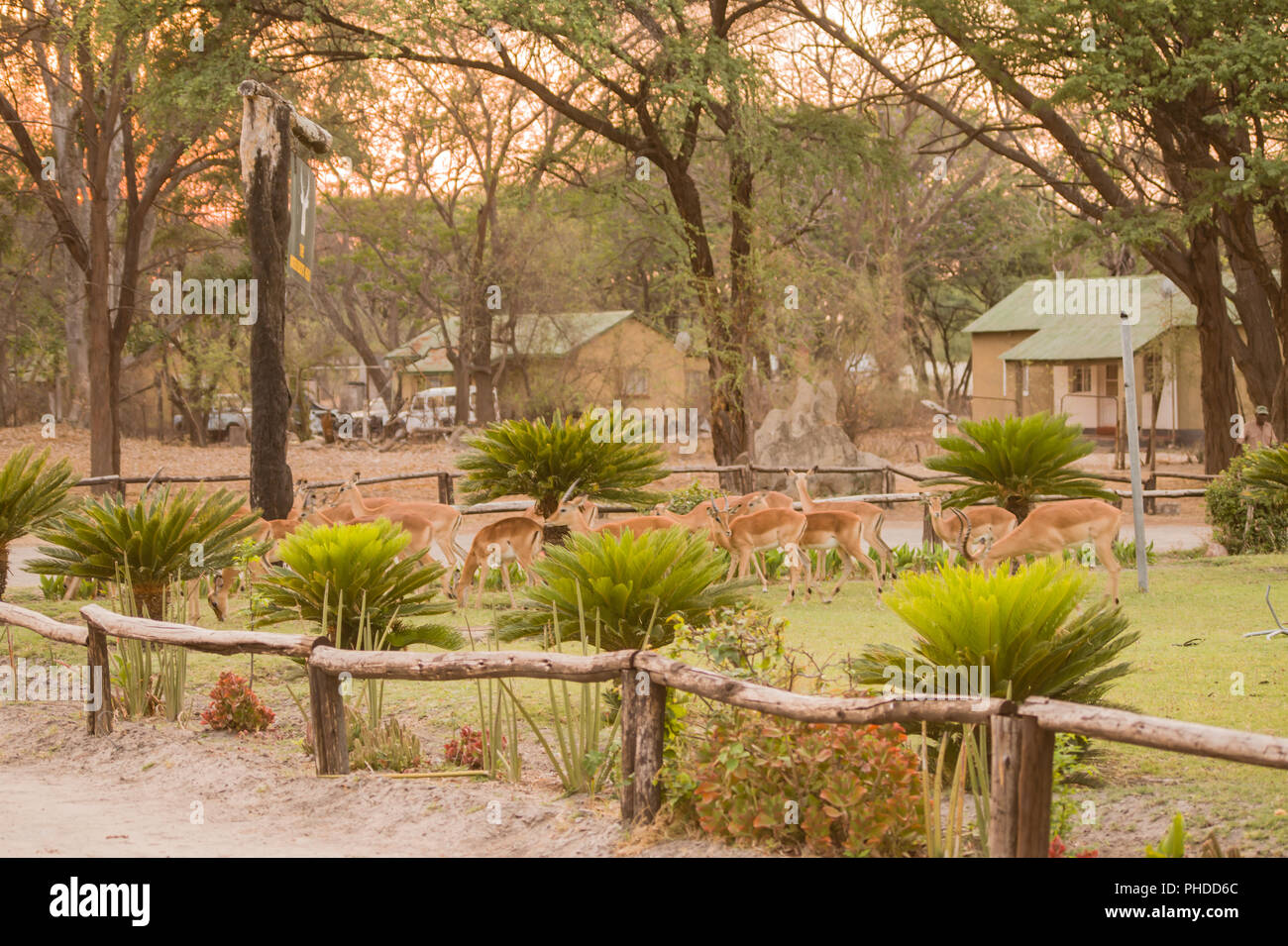 Zimbabwe village hi-res stock photography and images - Alamy