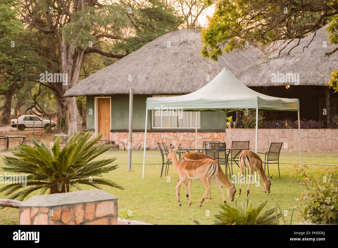 Zimbabwe village hi-res stock photography and images - Alamy