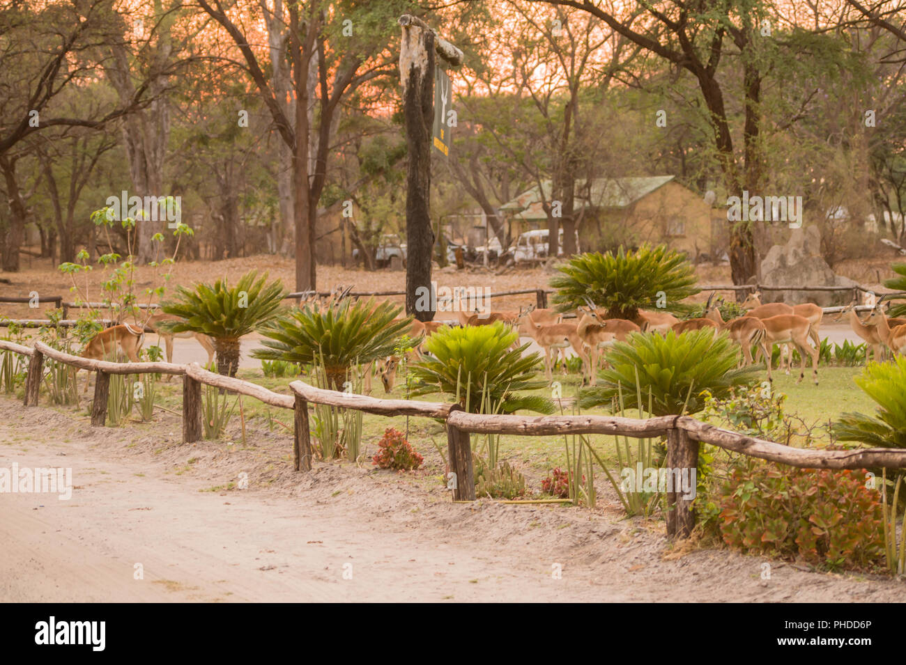 Zimbabwe village hi-res stock photography and images - Alamy