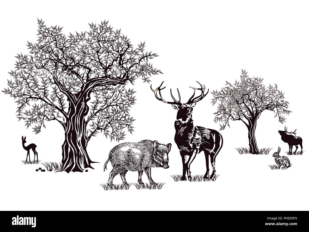 Boar and deer hi-res stock photography and images - Alamy