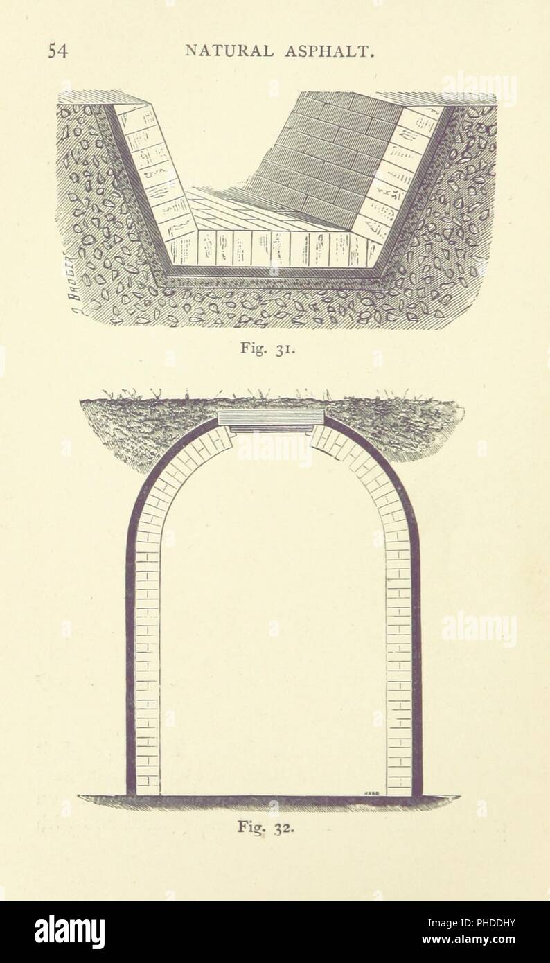 Image from page 66 of 'Twenty Years' Practical Experience of Natural ...