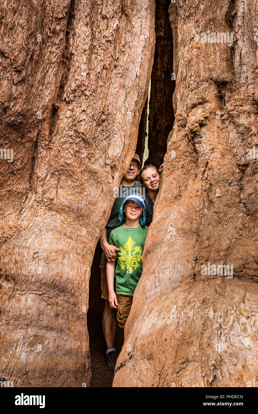 Images of Sequoias and visitors to the Trail of 100 Giants in the Grand ...