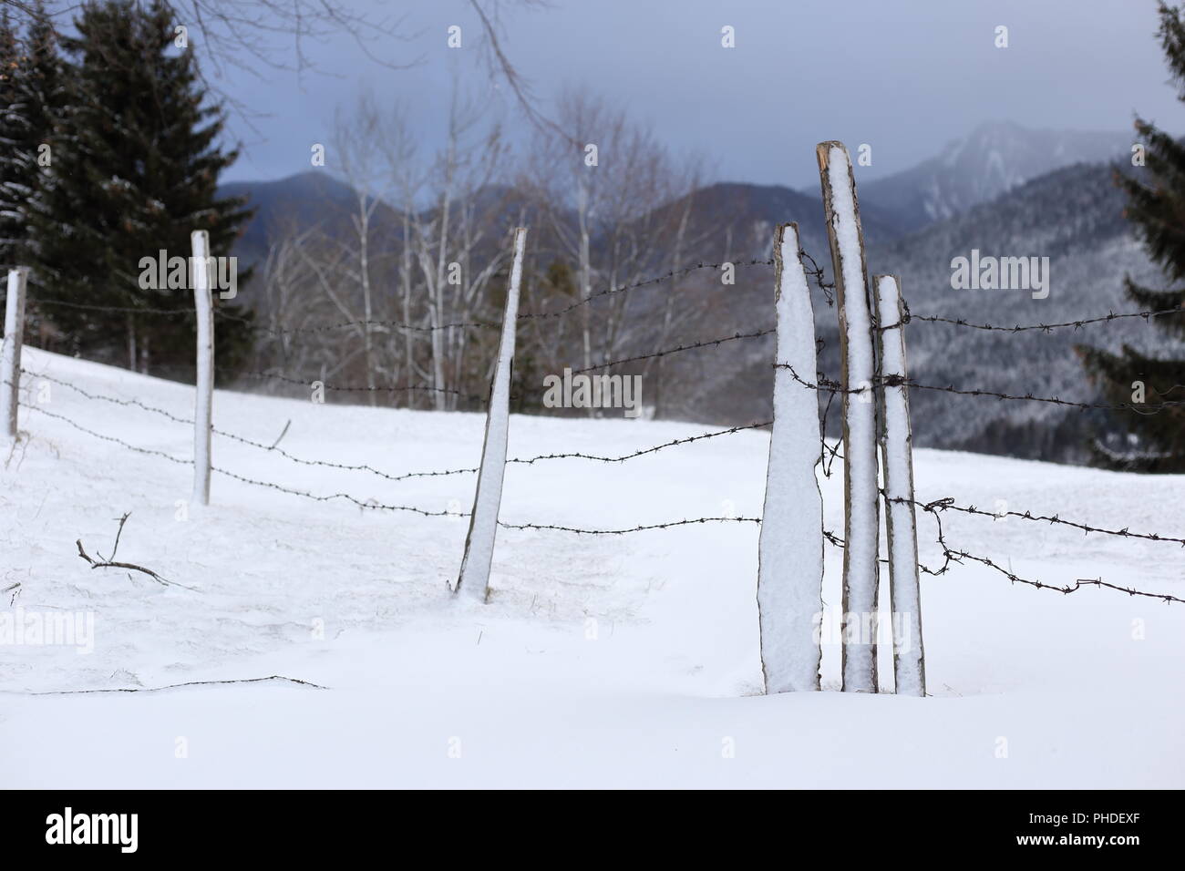Fence in mist hi-res stock photography and images - Alamy