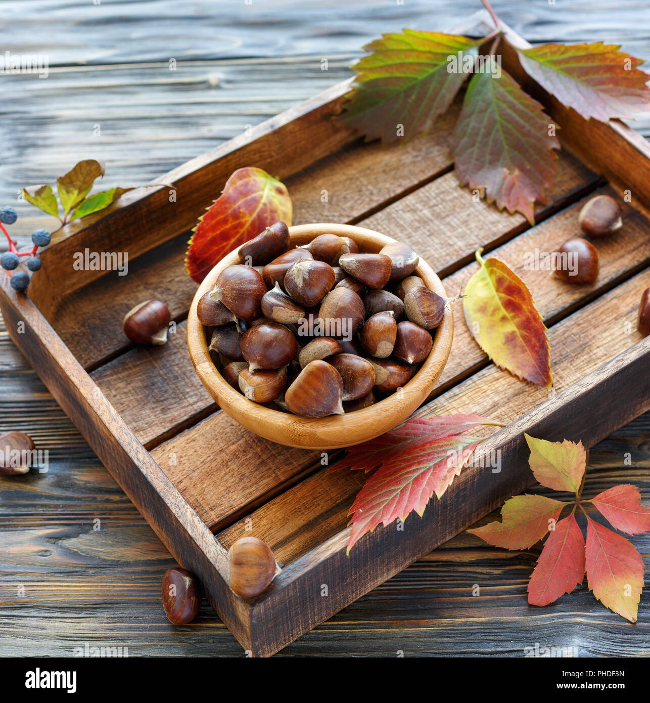 Sweet ripe chestnuts fruit hi-res stock photography and images - Alamy