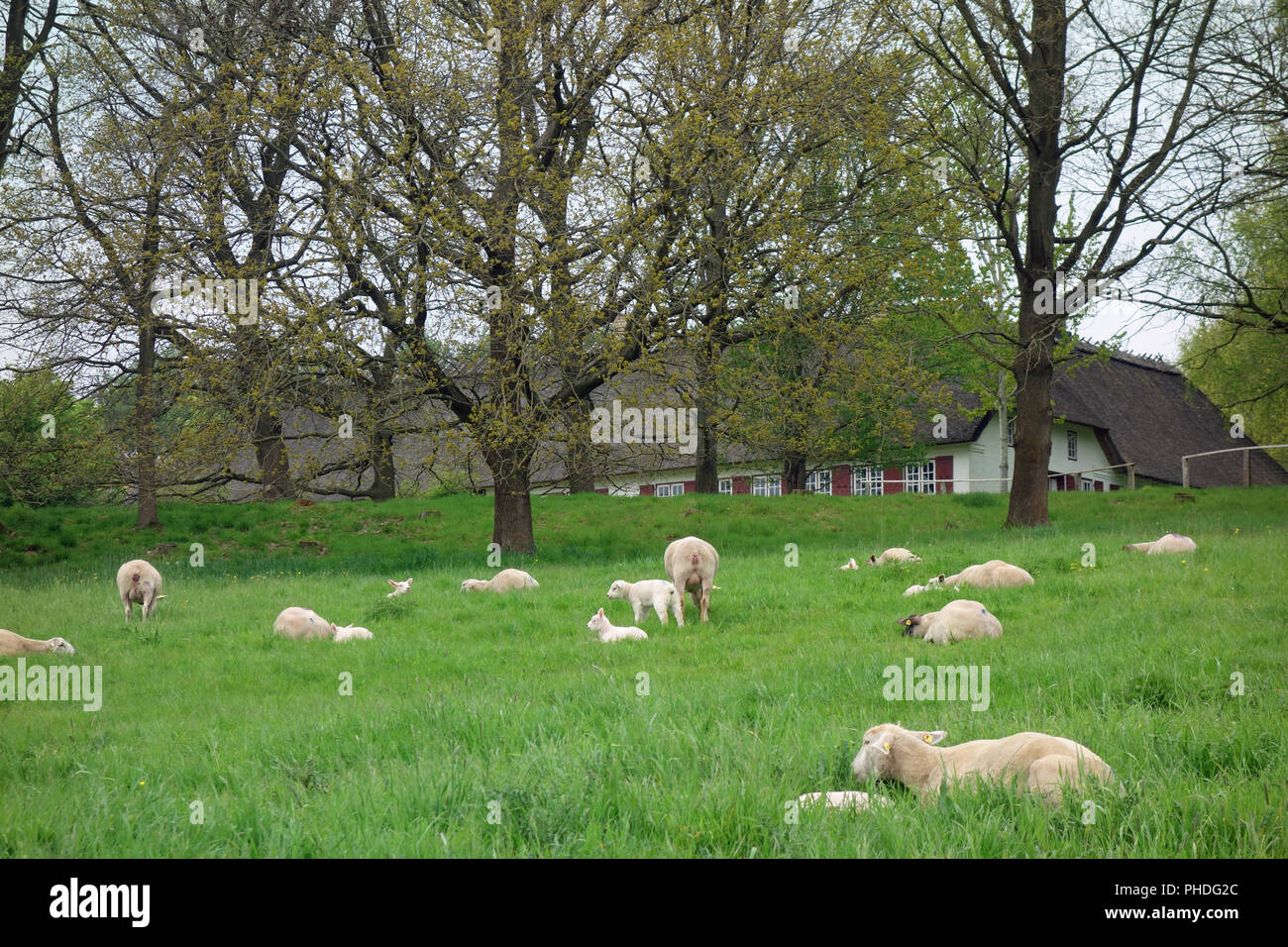 Lower pasture barn farm hi-res stock photography and images - Alamy