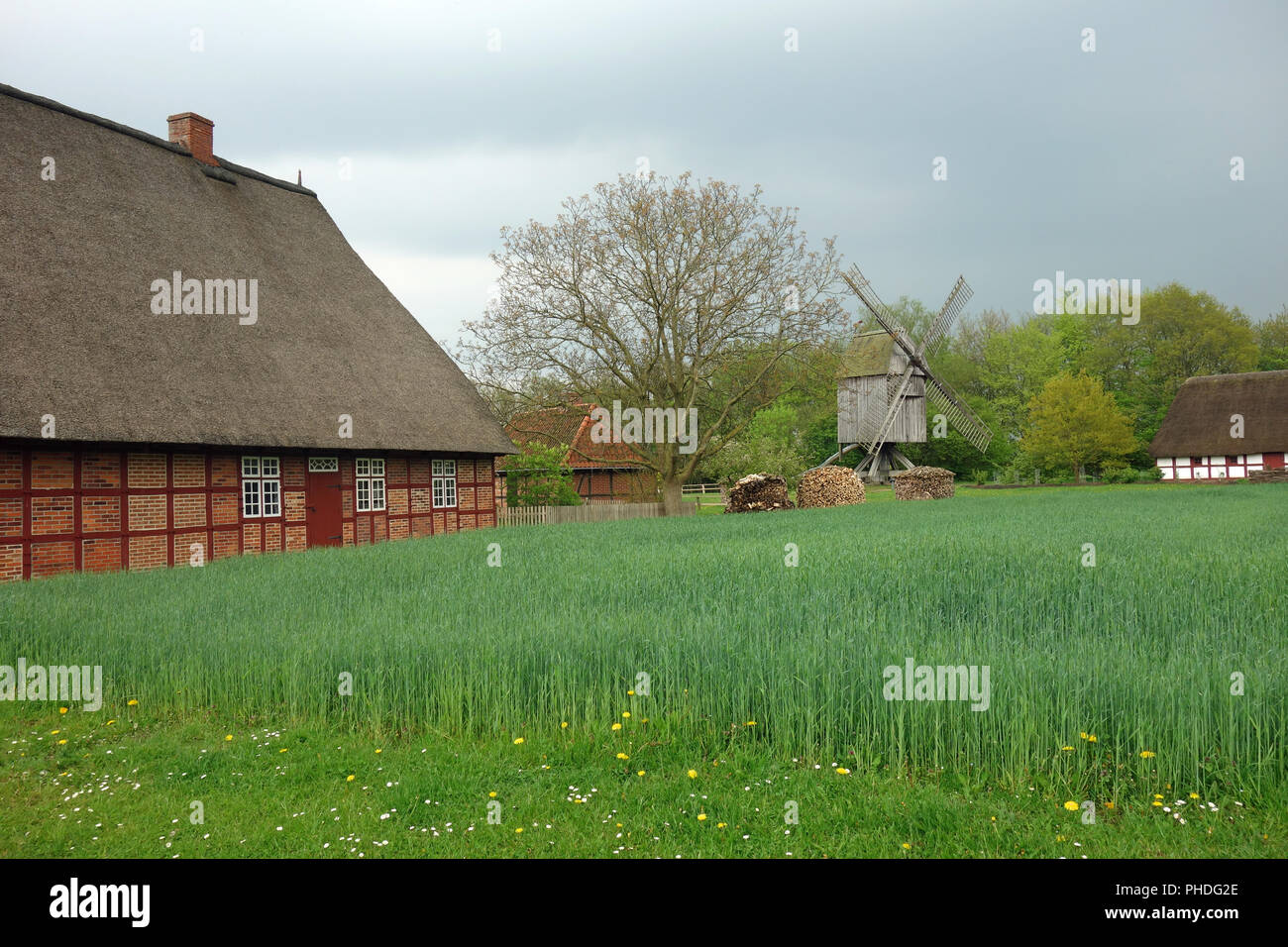 farm in northern germany Stock Photo - Alamy