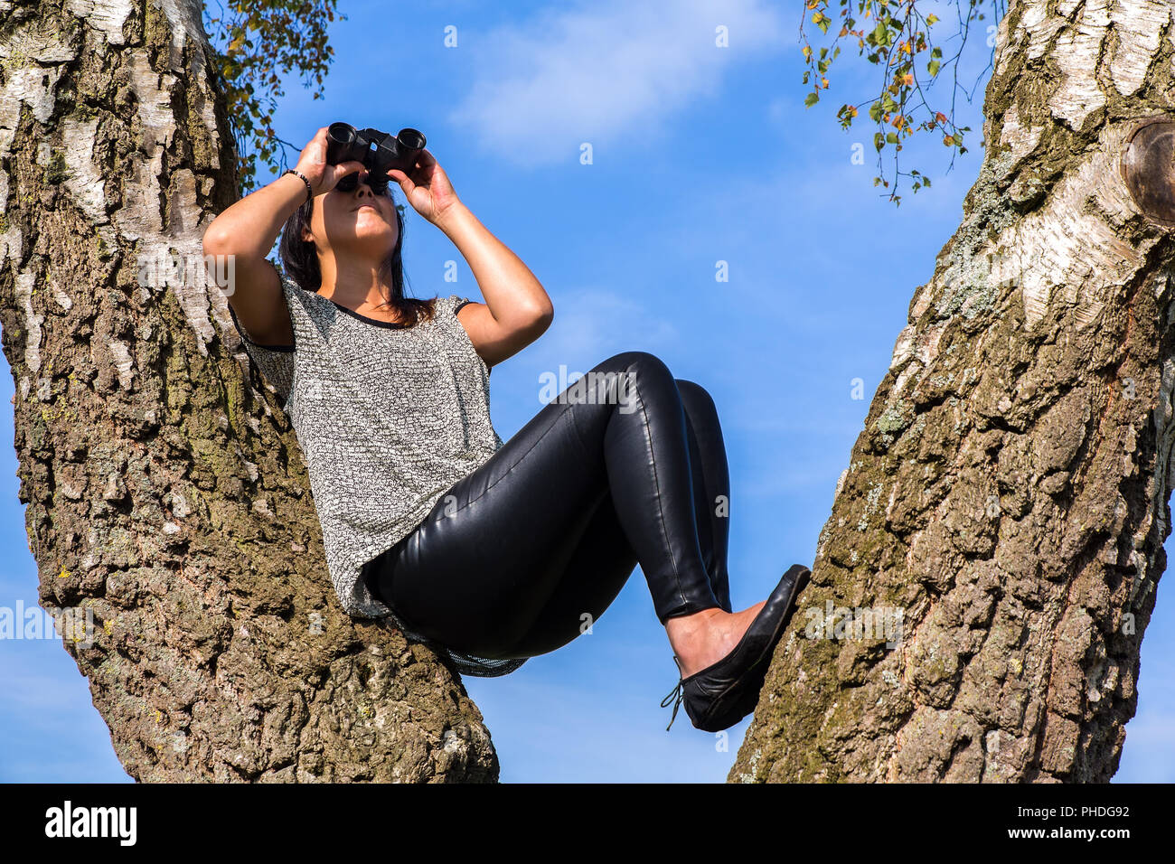 Tree looking hi-res stock photography and images - Alamy