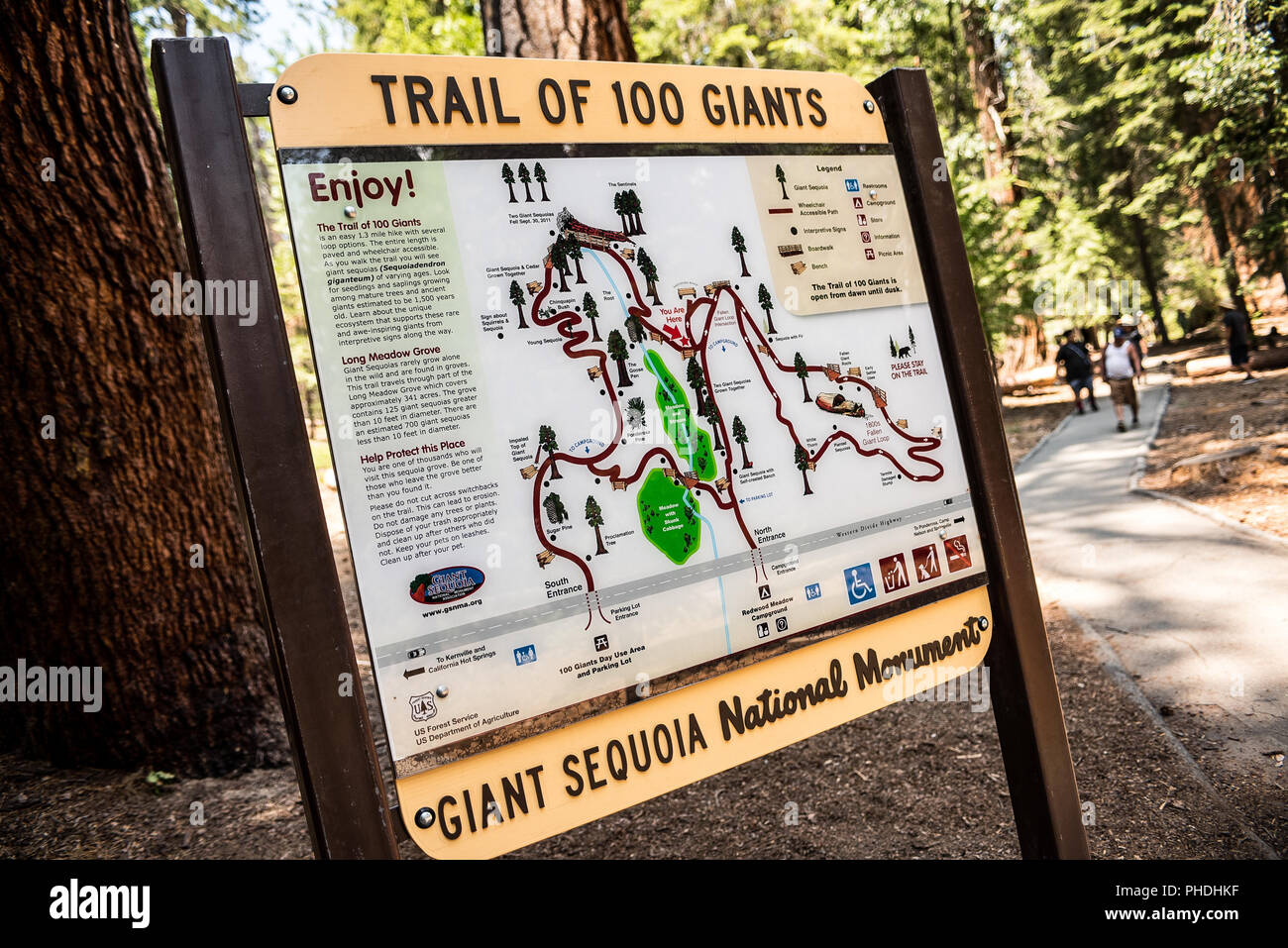 Images of Sequoias and visitors to the Trail of 100 Giants in the Grand ...