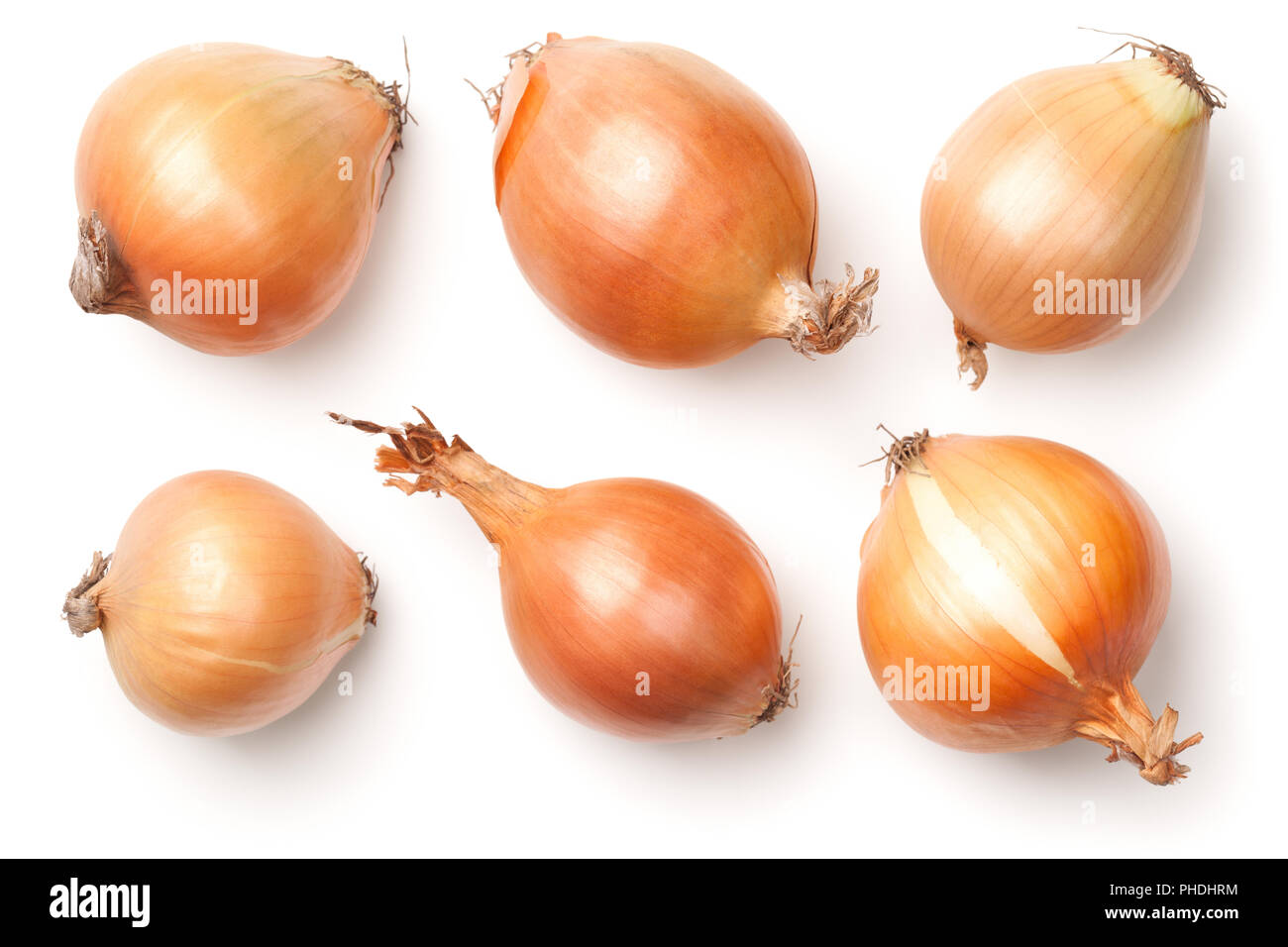 Onion Bulbs Isolated on White Background Stock Photo - Alamy