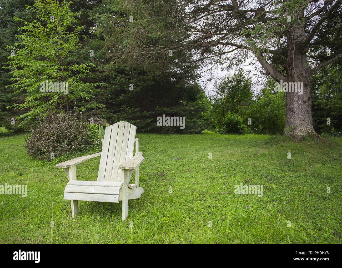 Adirondack chair in the forest Stock Photo - Alamy