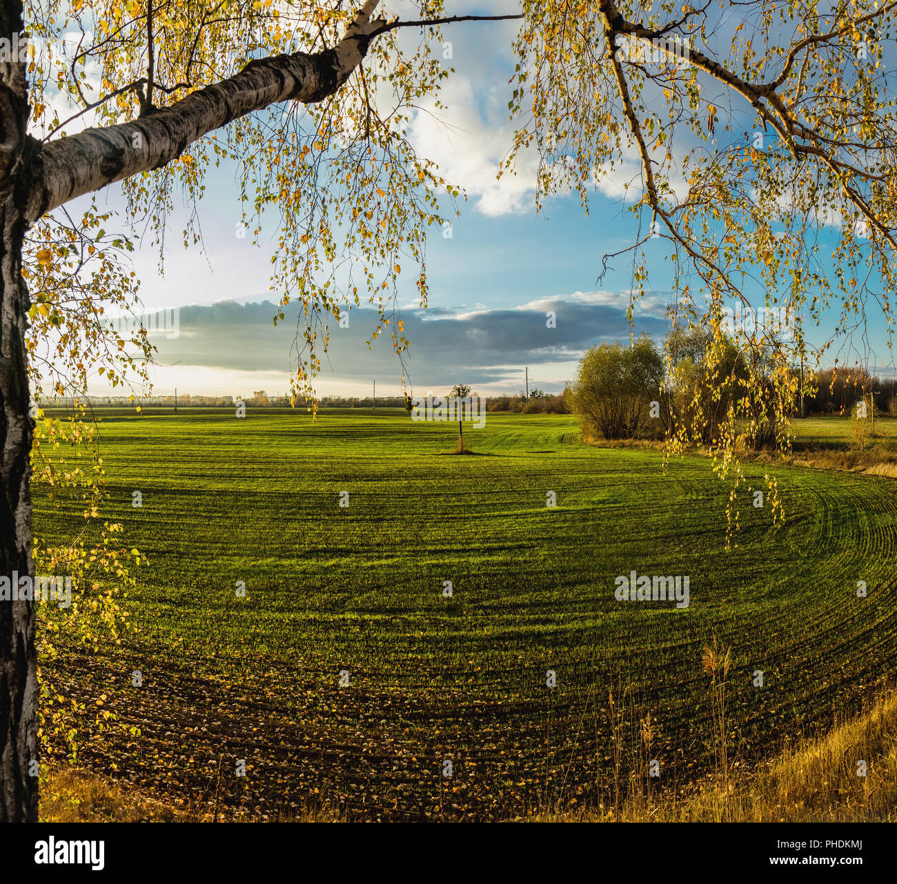 Sparkles in nature hi-res stock photography and images - Alamy