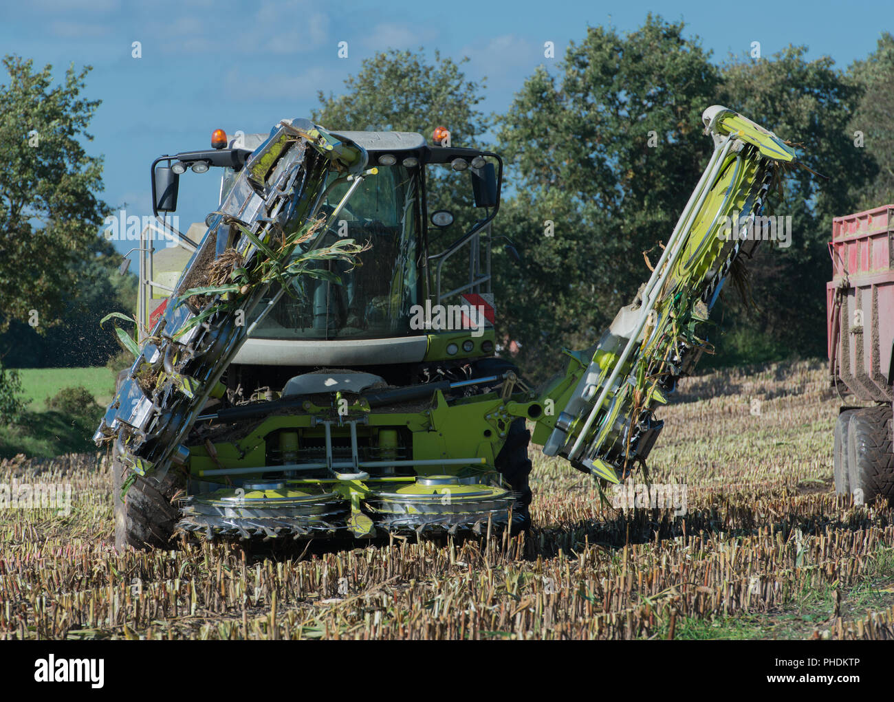 Corn harvest, corn forage harvester in action Stock Photo - Alamy