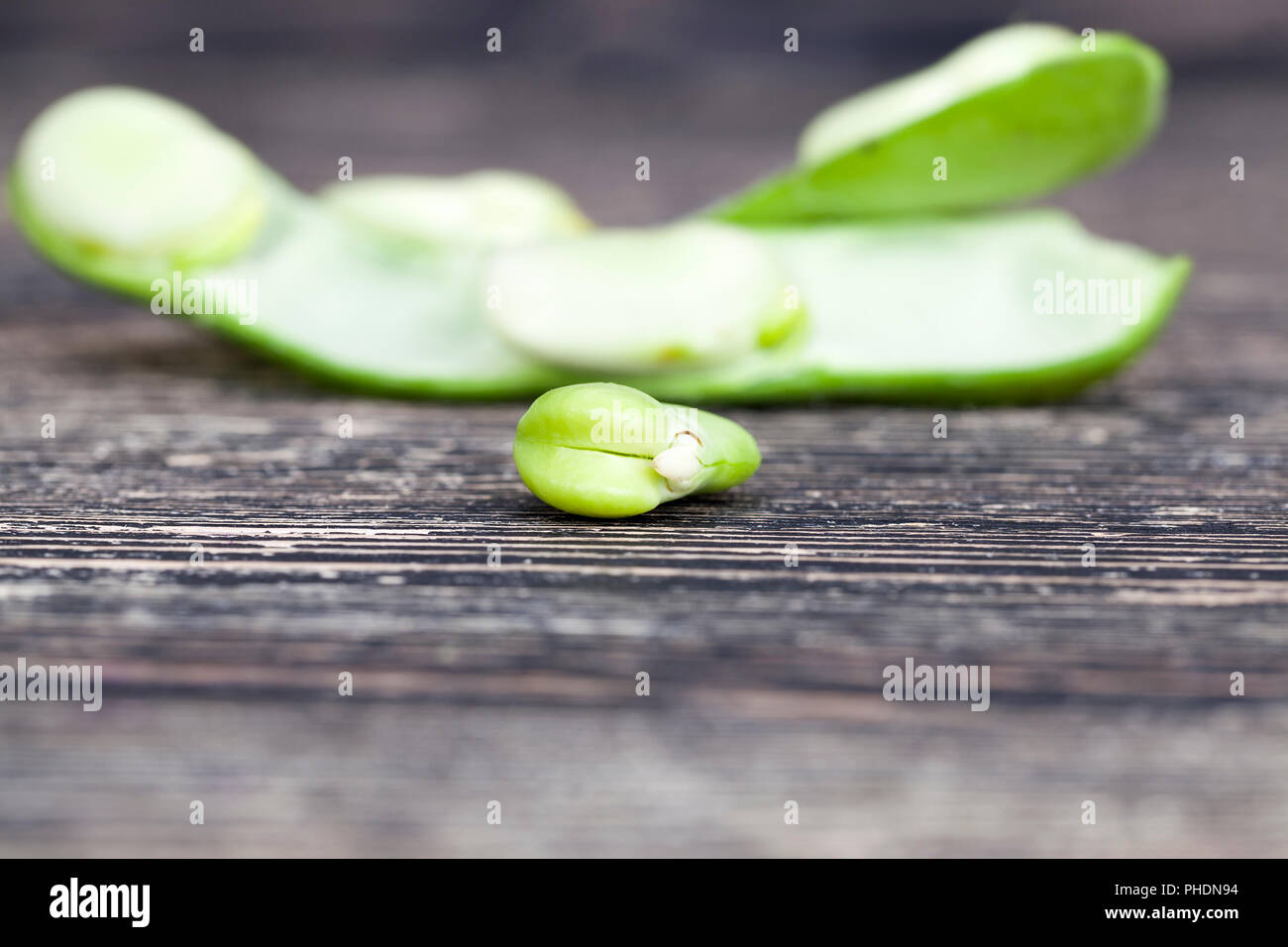 large green soft and not yet ripe fresh bean grain, close-up Stock ...