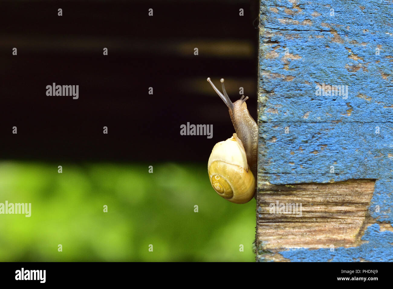 Land invasion hi-res stock photography and images - Alamy