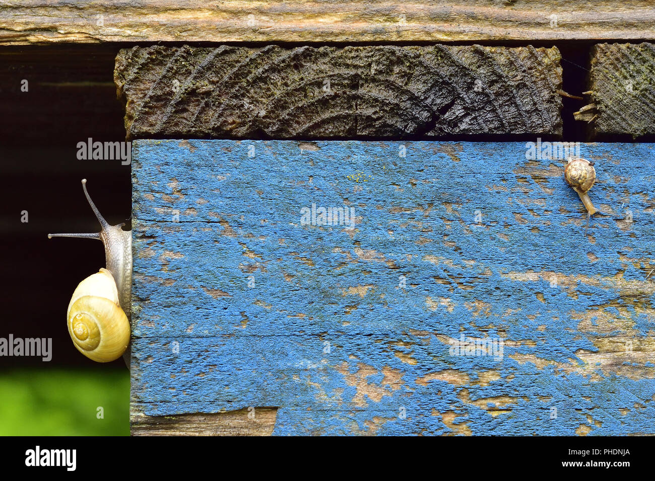 Land invasion hi-res stock photography and images - Alamy