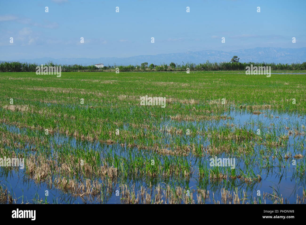 Fields ebro hi-res stock photography and images - Alamy