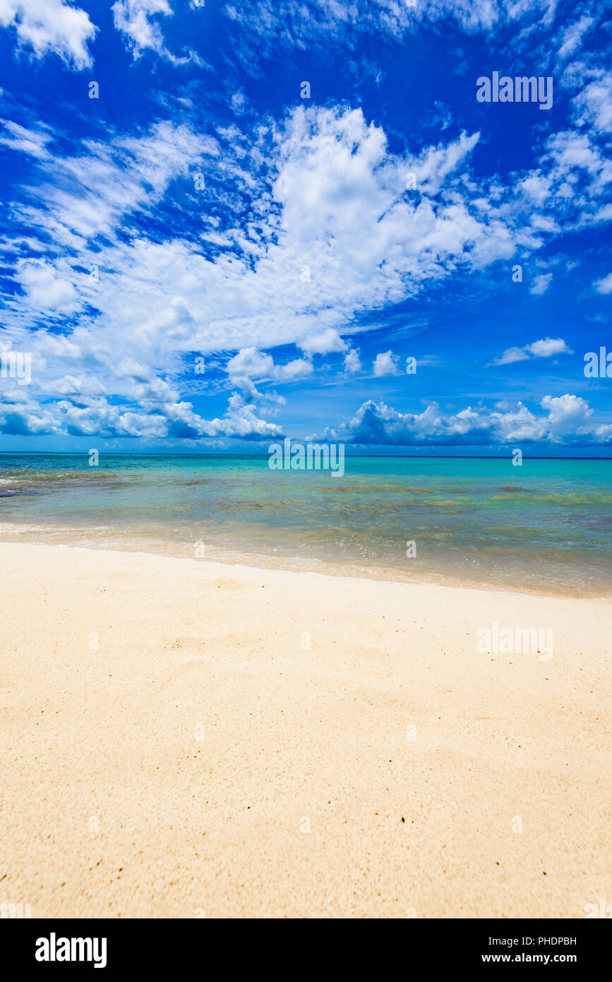 Magical paradise beach of the Caribbean sea Stock Photo - Alamy