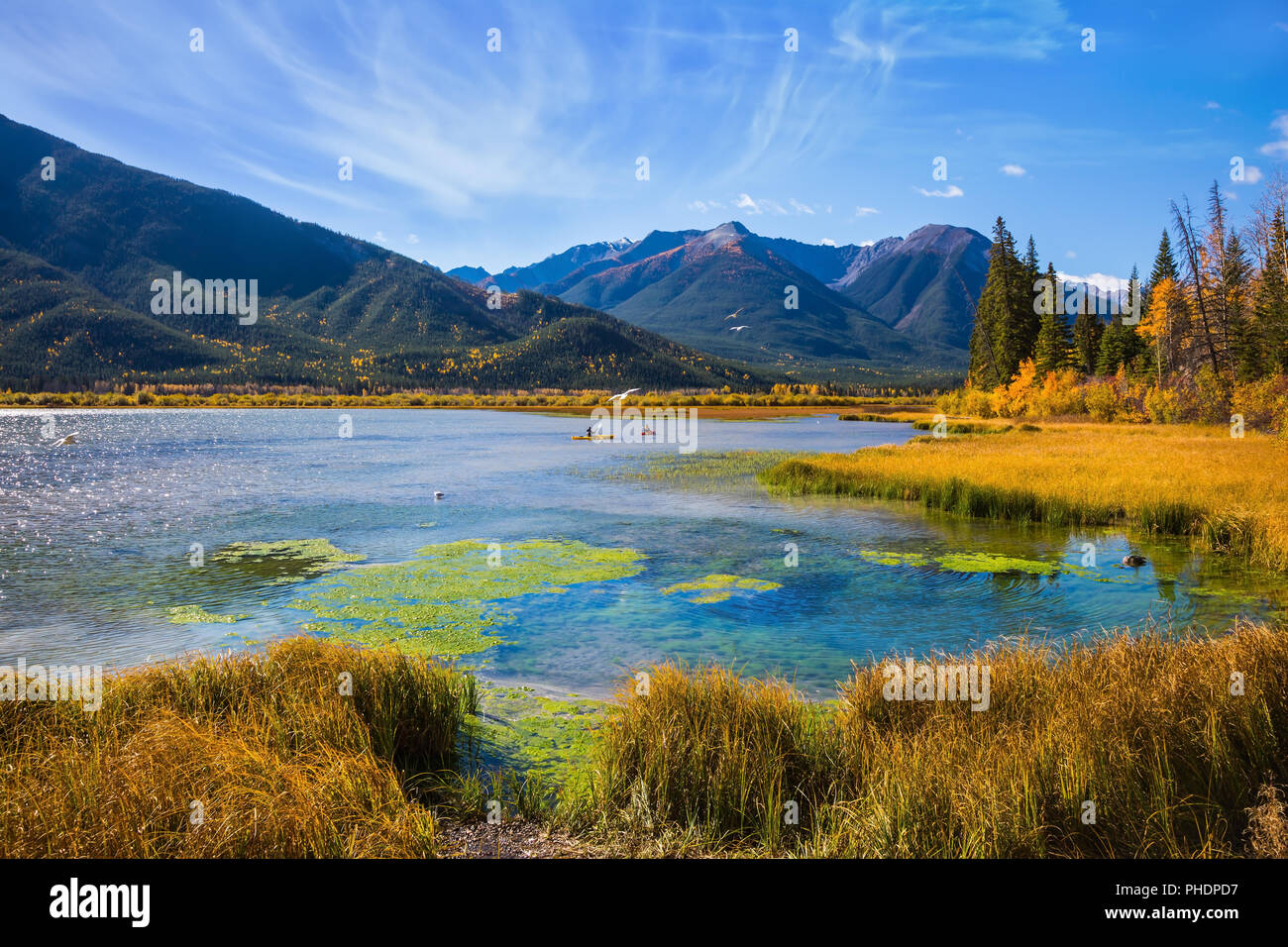 Vermilion Color High Resolution Stock Photography and Images - Alamy