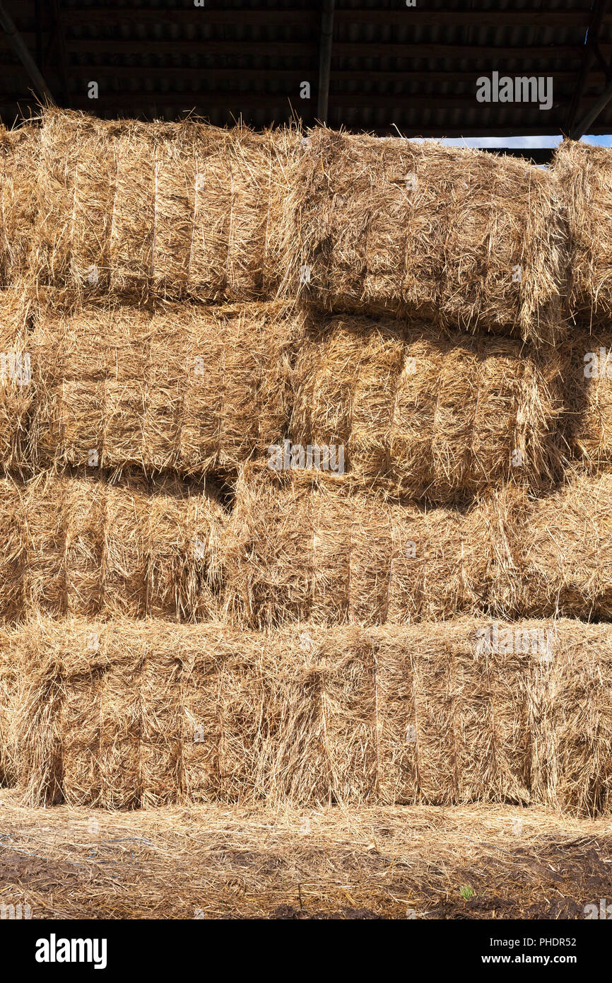 Straw stacks stacked in a large high pile in the hayloft for storage of ...