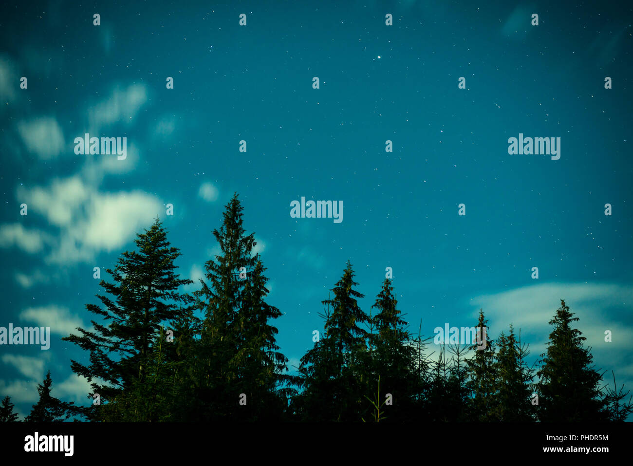 Night sky with trees hi-res stock photography and images - Alamy