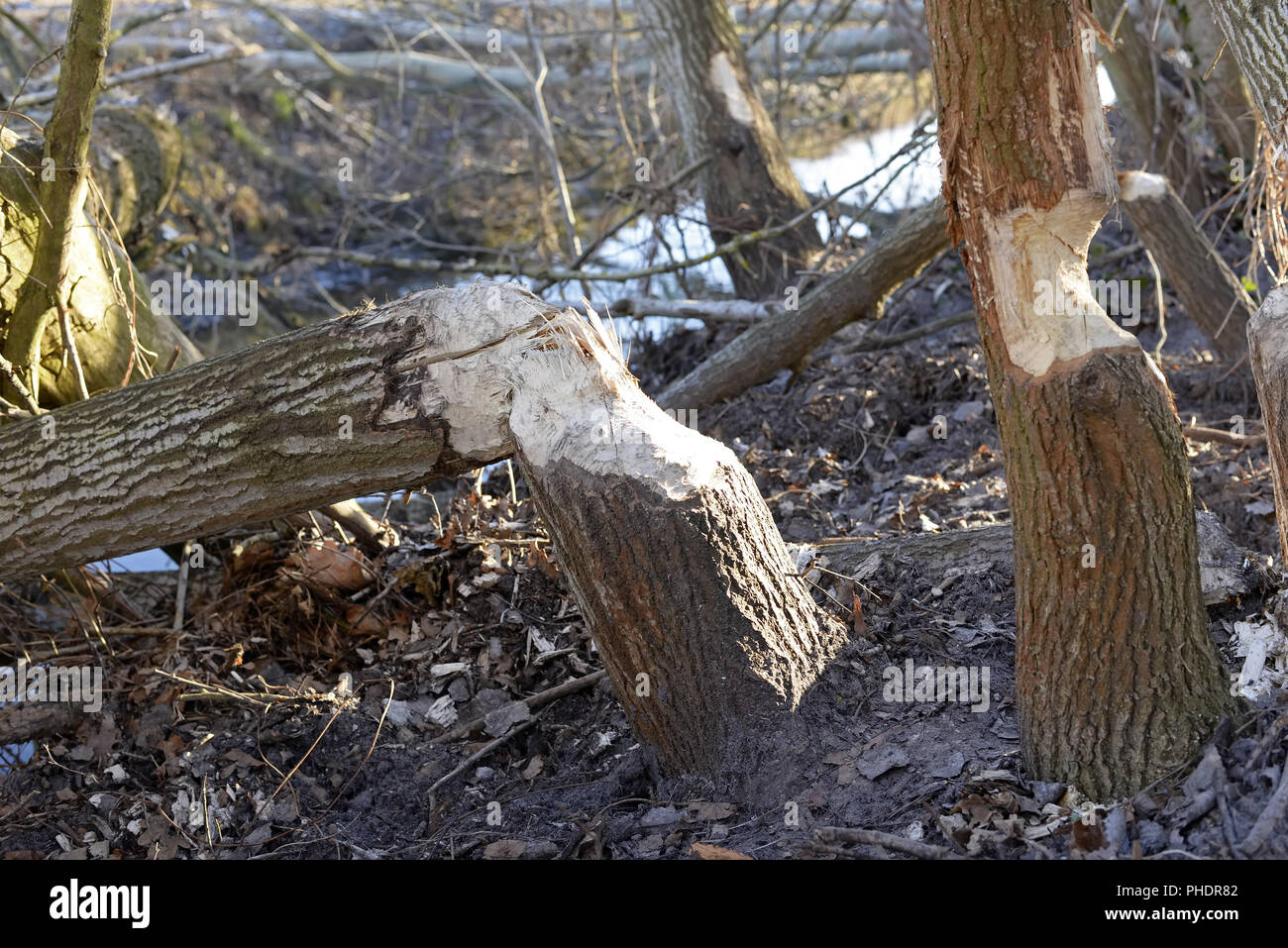 Stub track hi-res stock photography and images - Alamy