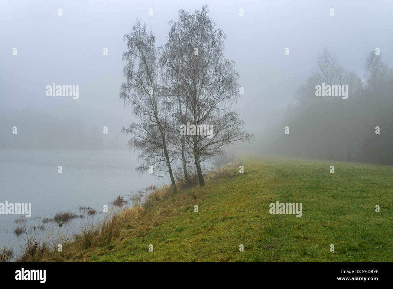 Fog scenery hi-res stock photography and images - Alamy