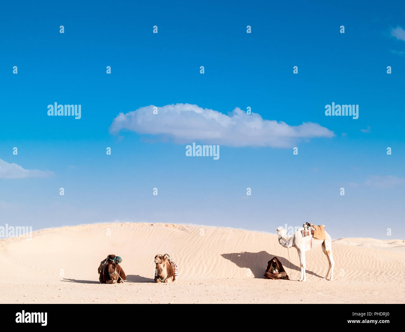 Desert of Douz,Tunisia Stock Photo - Alamy