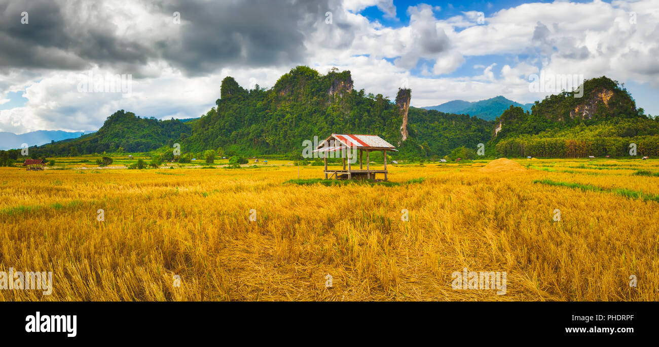 Beautiful rural landscape.Vang Vieng, Laos. Panorama Stock Photo - Alamy