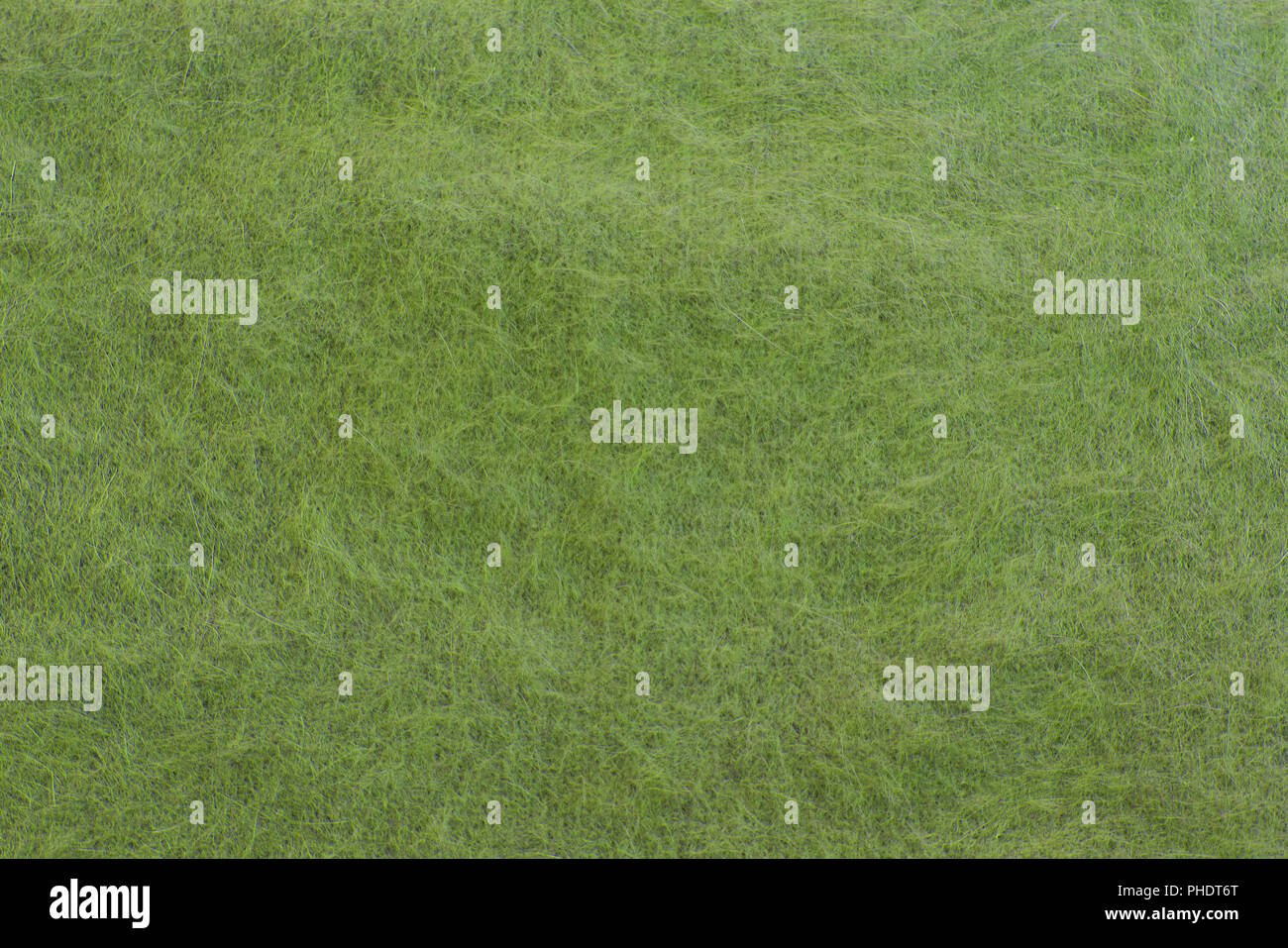 Angora wool hi-res stock photography and images - Alamy