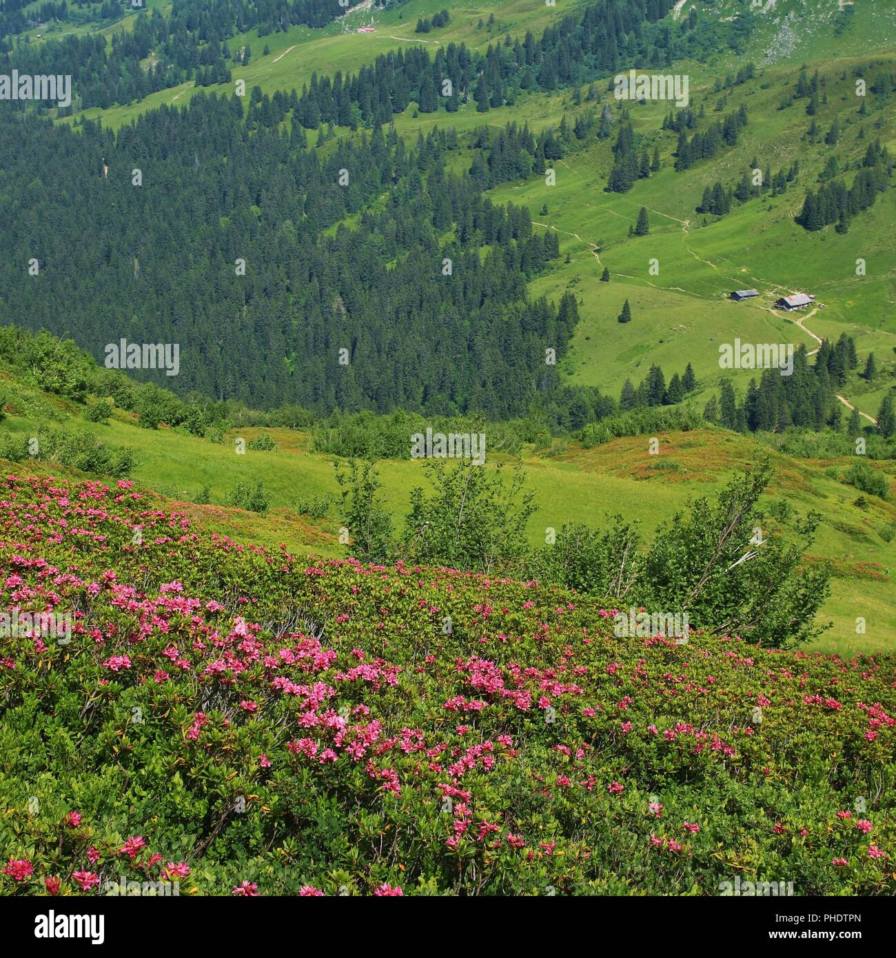 Distant farm hi-res stock photography and images - Alamy