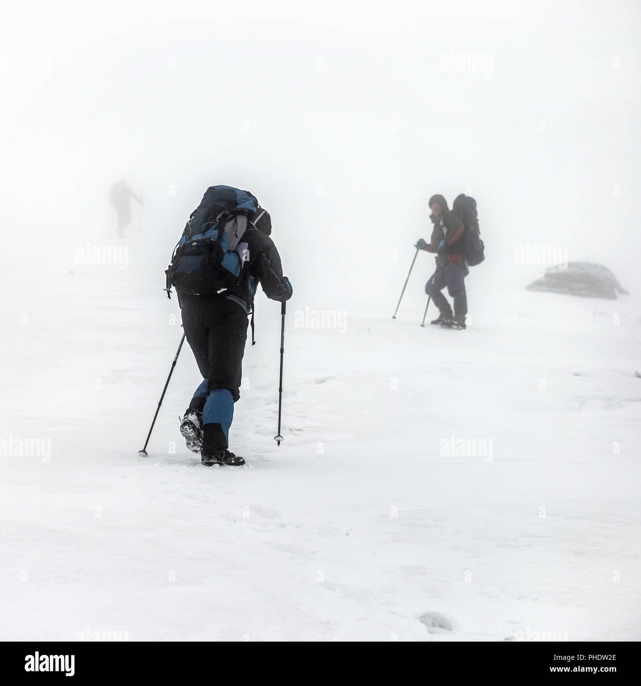Mountain hiking group in snow storm Stock Photo - Alamy
