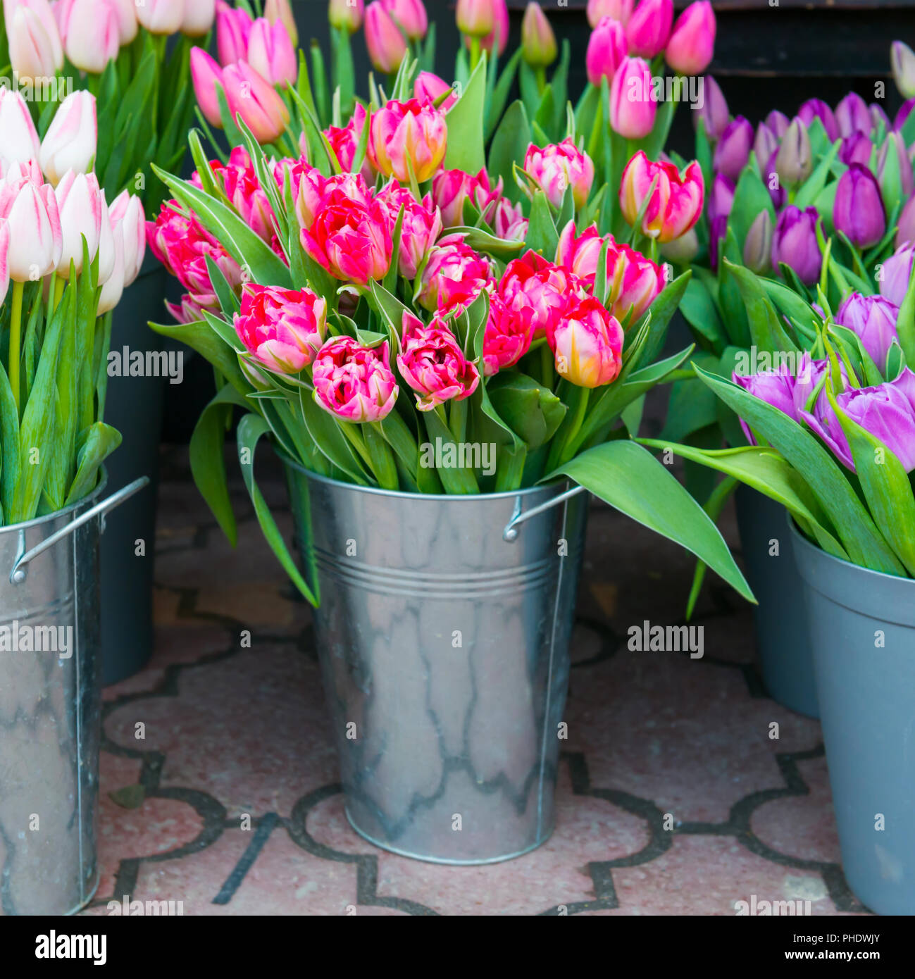 Purple buckets hi-res stock photography and images - Alamy