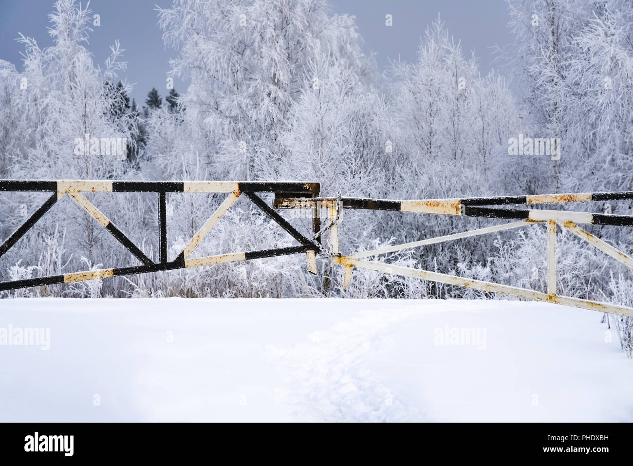 closed iron gate in winter Stock Photo - Alamy