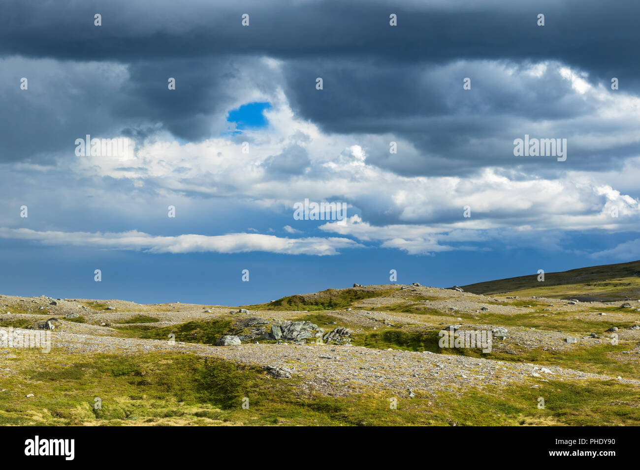 Into the dark wilderness hi-res stock photography and images - Alamy