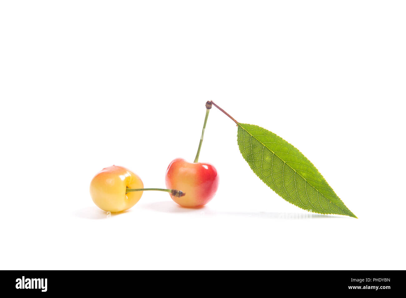 Berries of yellow sweet cherries with green leaf of cherry tree on ...