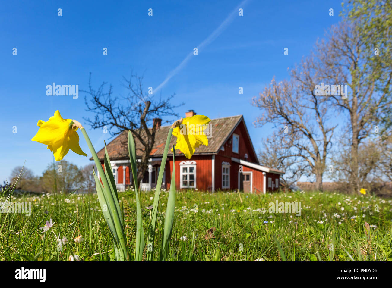 Spring cottage hi-res stock photography and images - Alamy