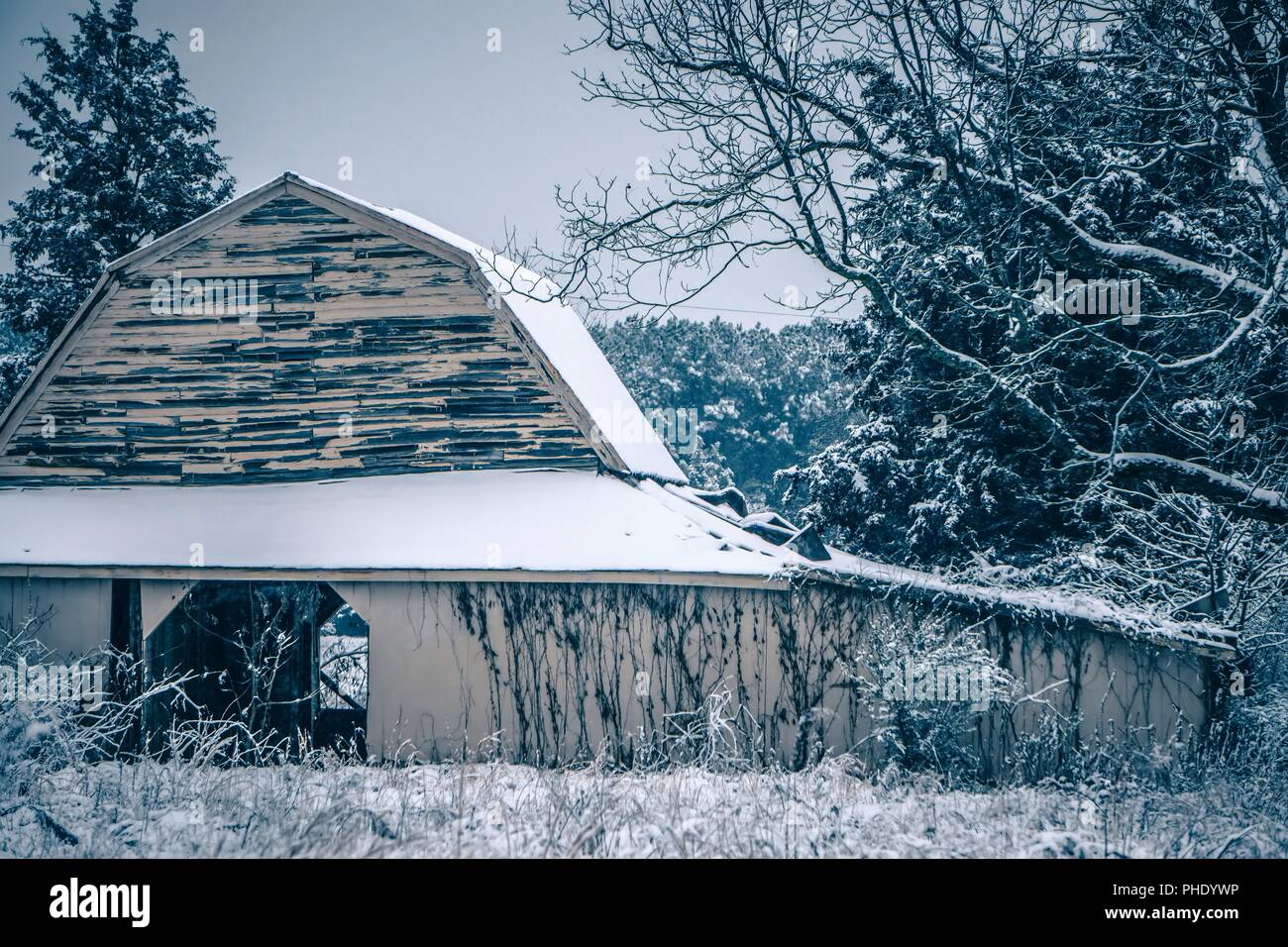 Fresh snow sits on the ground around an old barn Stock Photo - Alamy