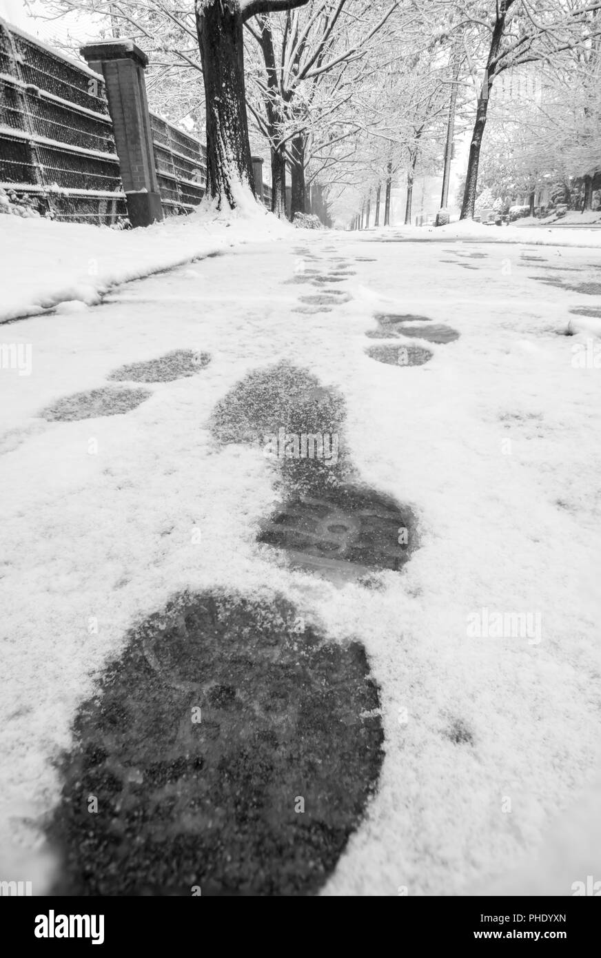 show footprints in snow on sidewalk along the park Stock Photo - Alamy