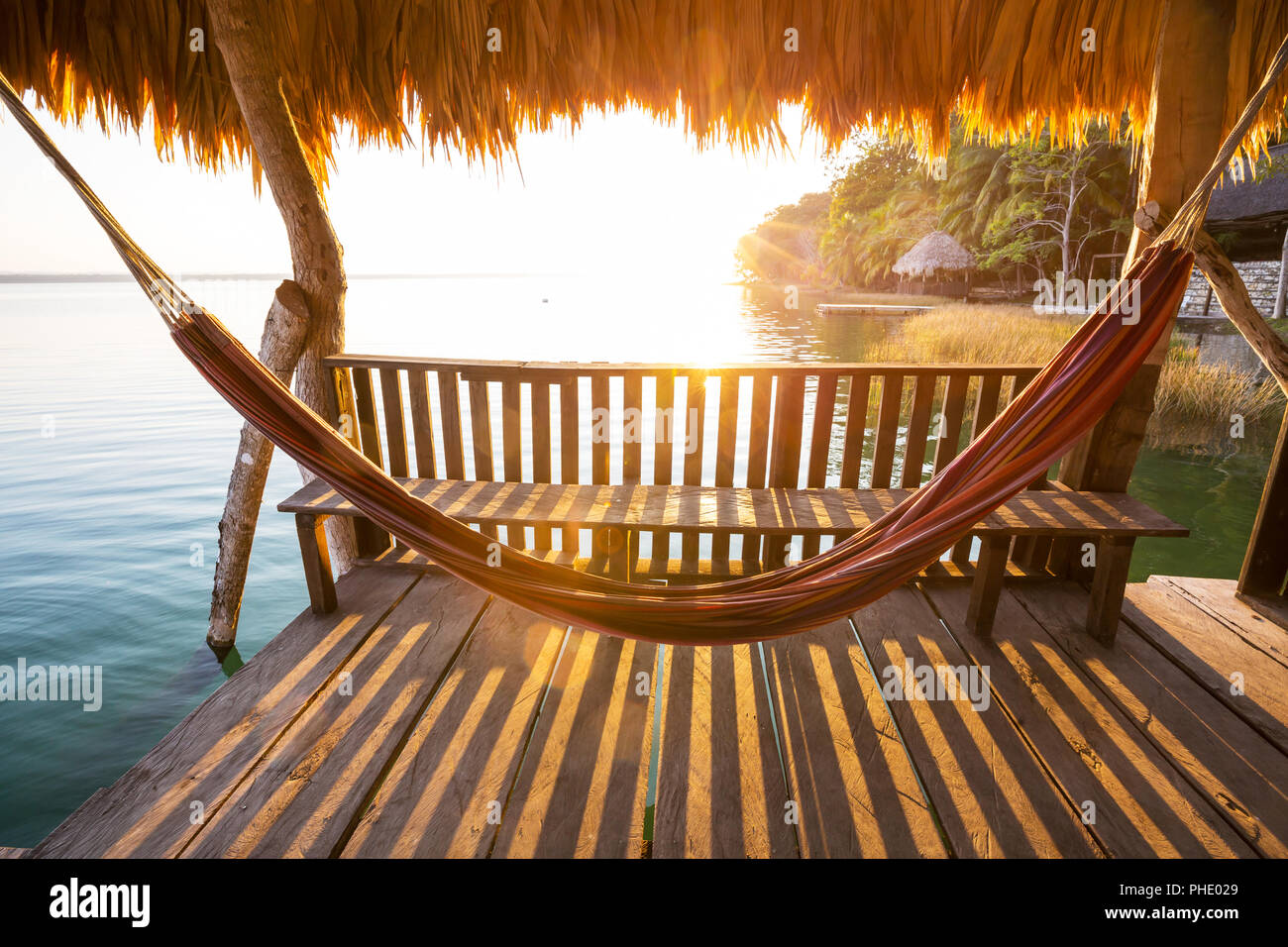 Empty hammock forest hi-res stock photography and images - Alamy