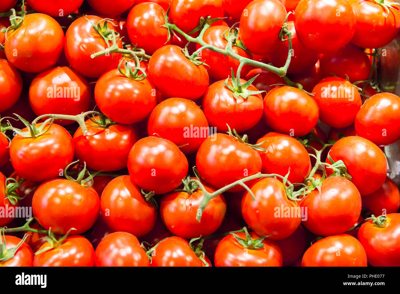 Image of red and green tomatoes hi-res stock photography and images - Alamy