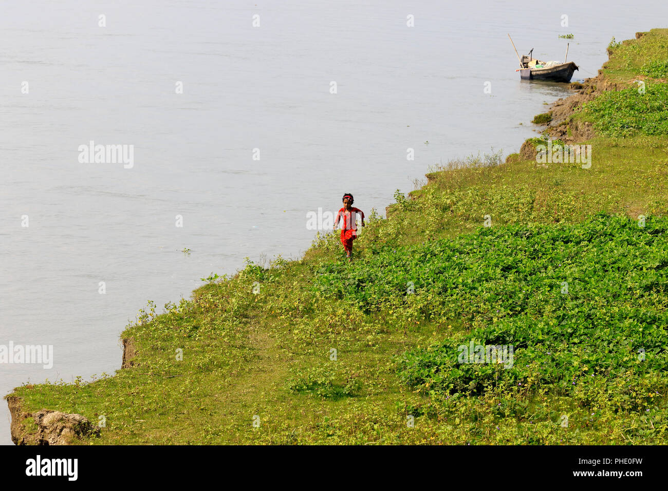 Agricultural field on the bank of Tetulia River. Patuakhali, Bangladesh ...